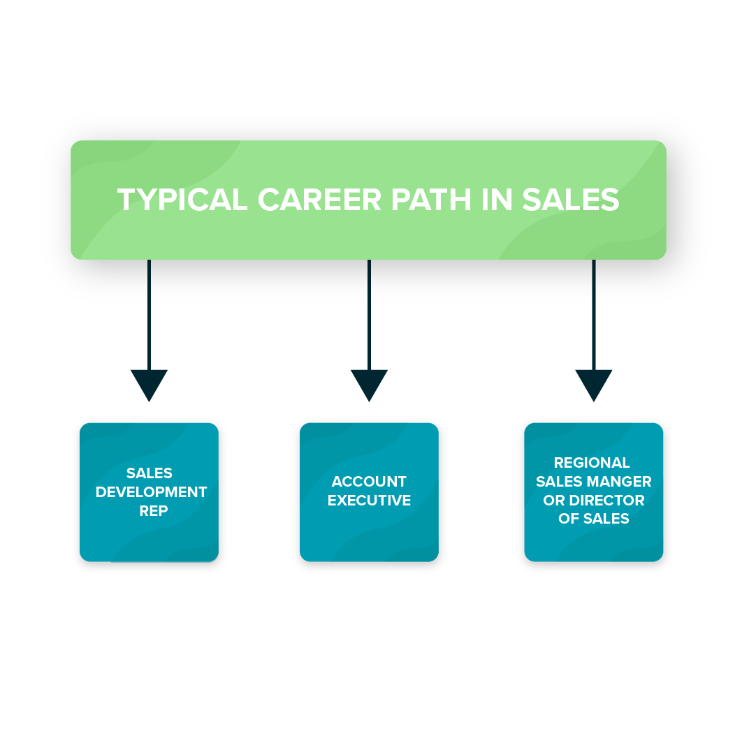 Guide to a Career Path in Sales [+ 6 Options for Growth] | Proposify
